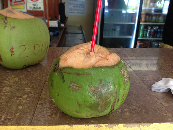 15 Songs for Puerto Rican Pride – ED MORALES